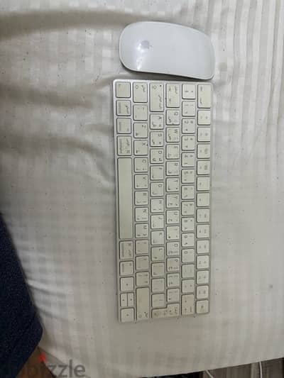 Magic Mouse and Magic Keyboard - اكسسوارات و قطع غيار كمبيوتر - 201673809