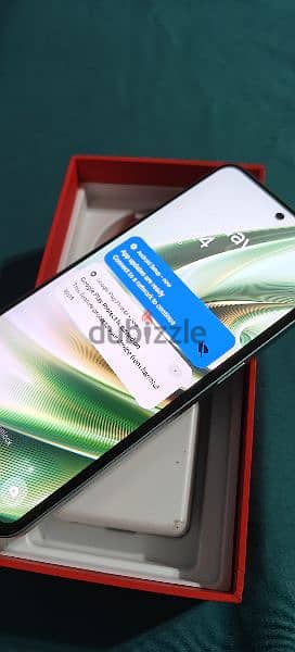 oneplus 10R - Mobile Phones - 202411180