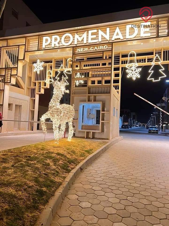 promenade new cairo 5th settlement ready to move 225 m with garden ...