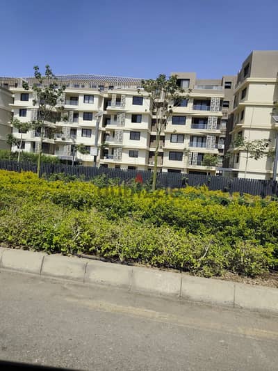 Special apartment fully finished - Apartments for Rent - 206717424