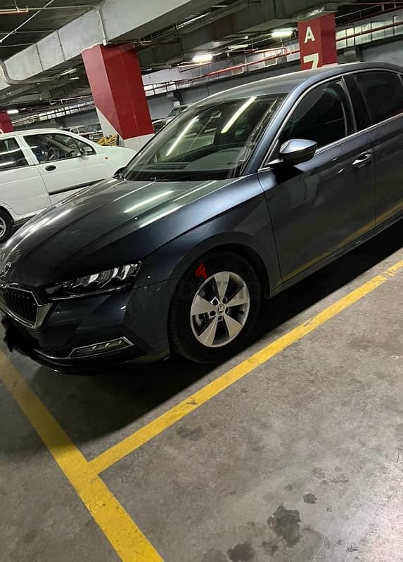 Skoda Octavia 2021 - سيارات للبيع - 206902838