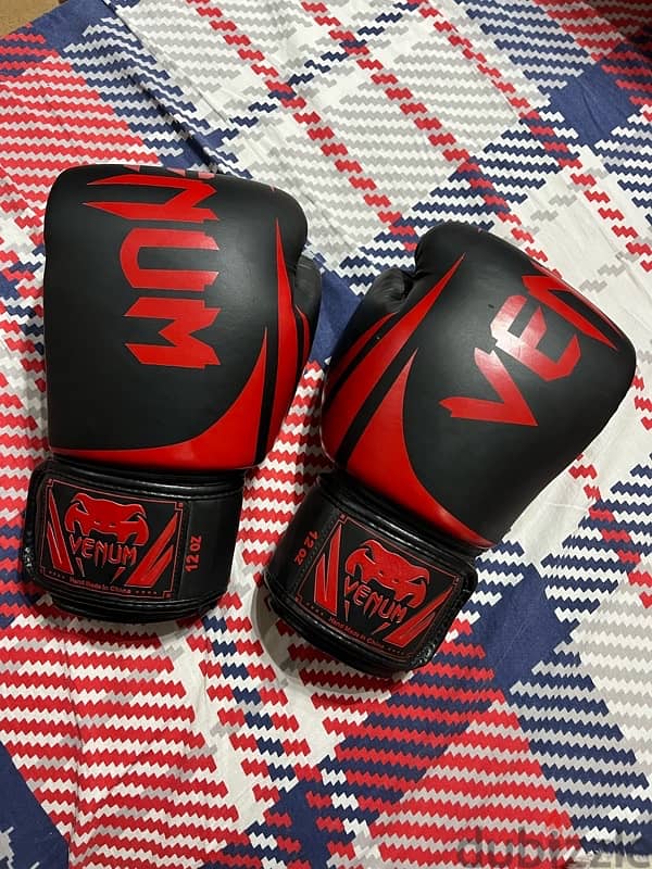 Venom Boxing Gloves - Sports Equipment - 206908856