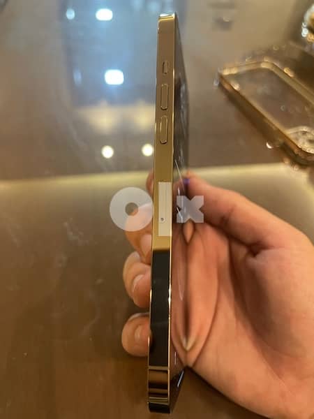iphone 12 promax 256gb - Mobile Phones - 190609895