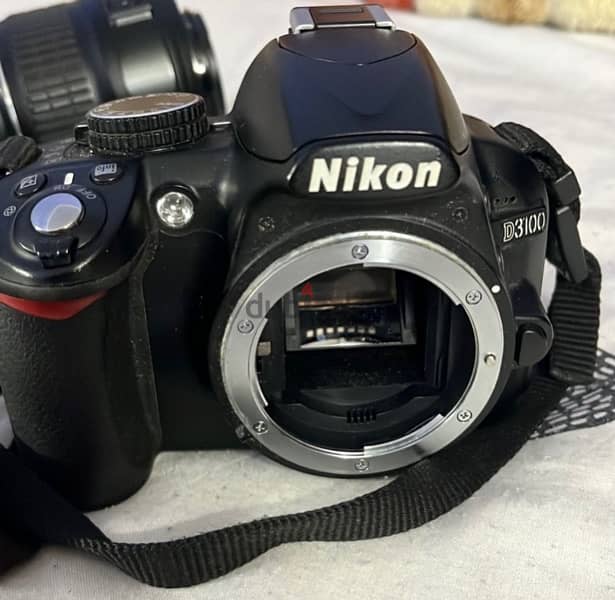 nikon 3100 - كاميرات - 197912846
