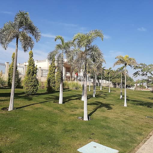 Stand-alone villa 400m for Sale in Royal City Compound-El-Sheikh Zayed ...