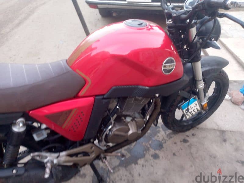 هوجن v 250 max - موتوسيكلات و إكسسواراتها - 198488786