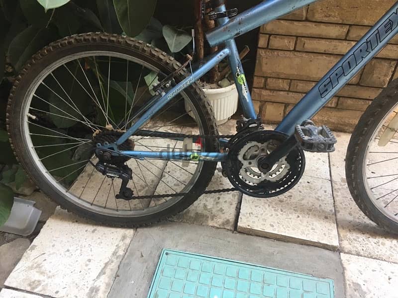 sportex bike - دراجات - 199403480