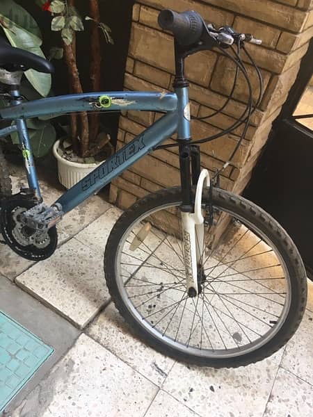 sportex bike - دراجات - 199403480