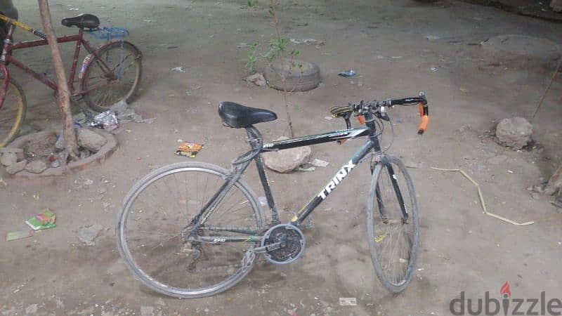 ترينكس Trinx R310 - دراجات - 199501311